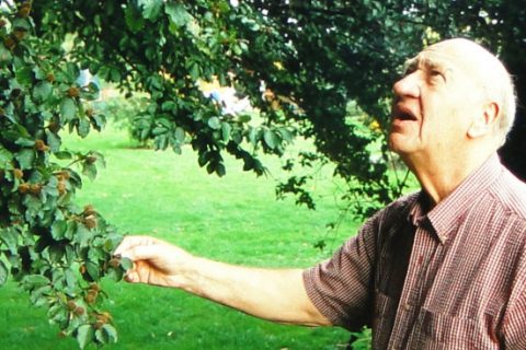 Alex Shigo Archive - Baumpflege-Blog