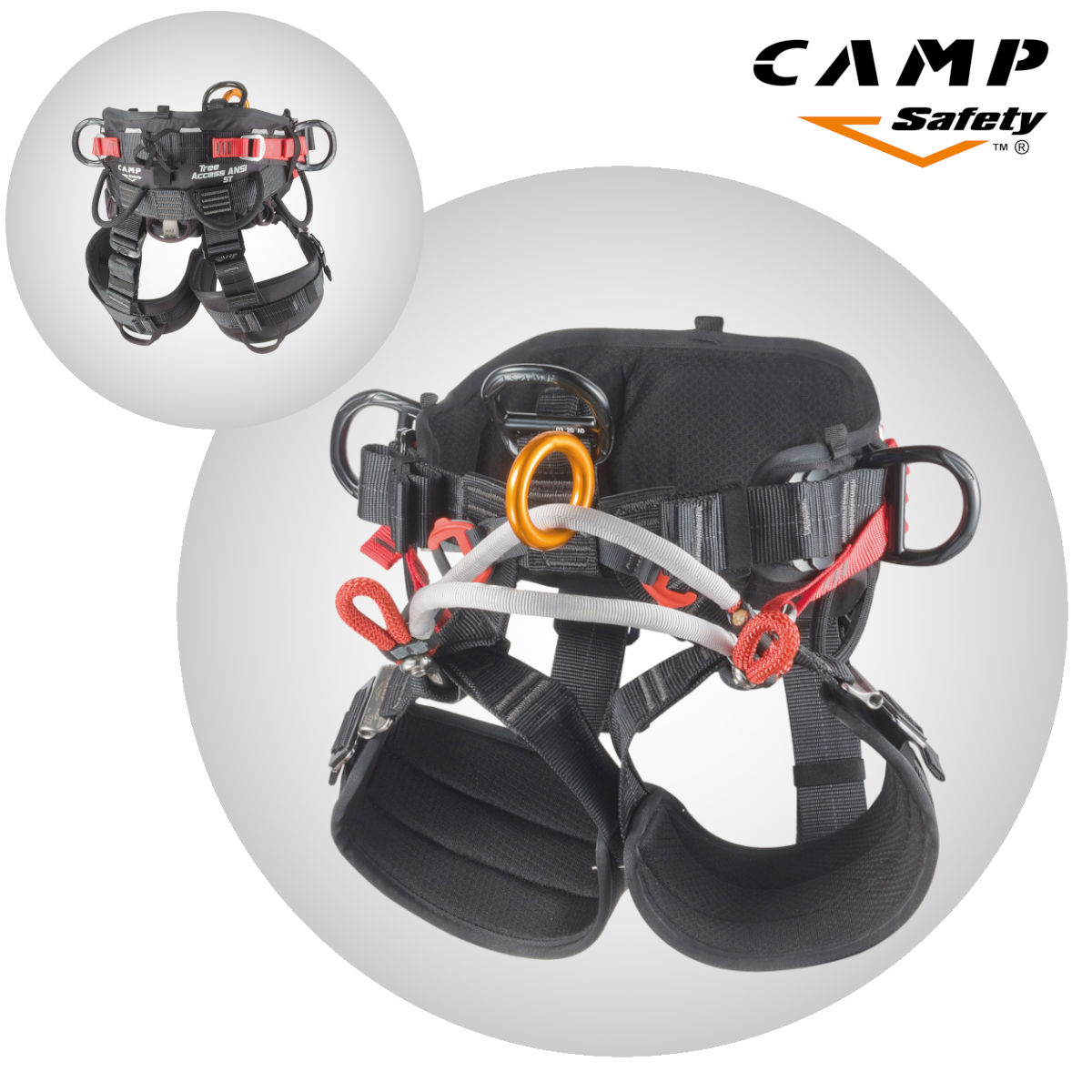 Freeworker Blog » Tree climbing harness: Which harness fits me?